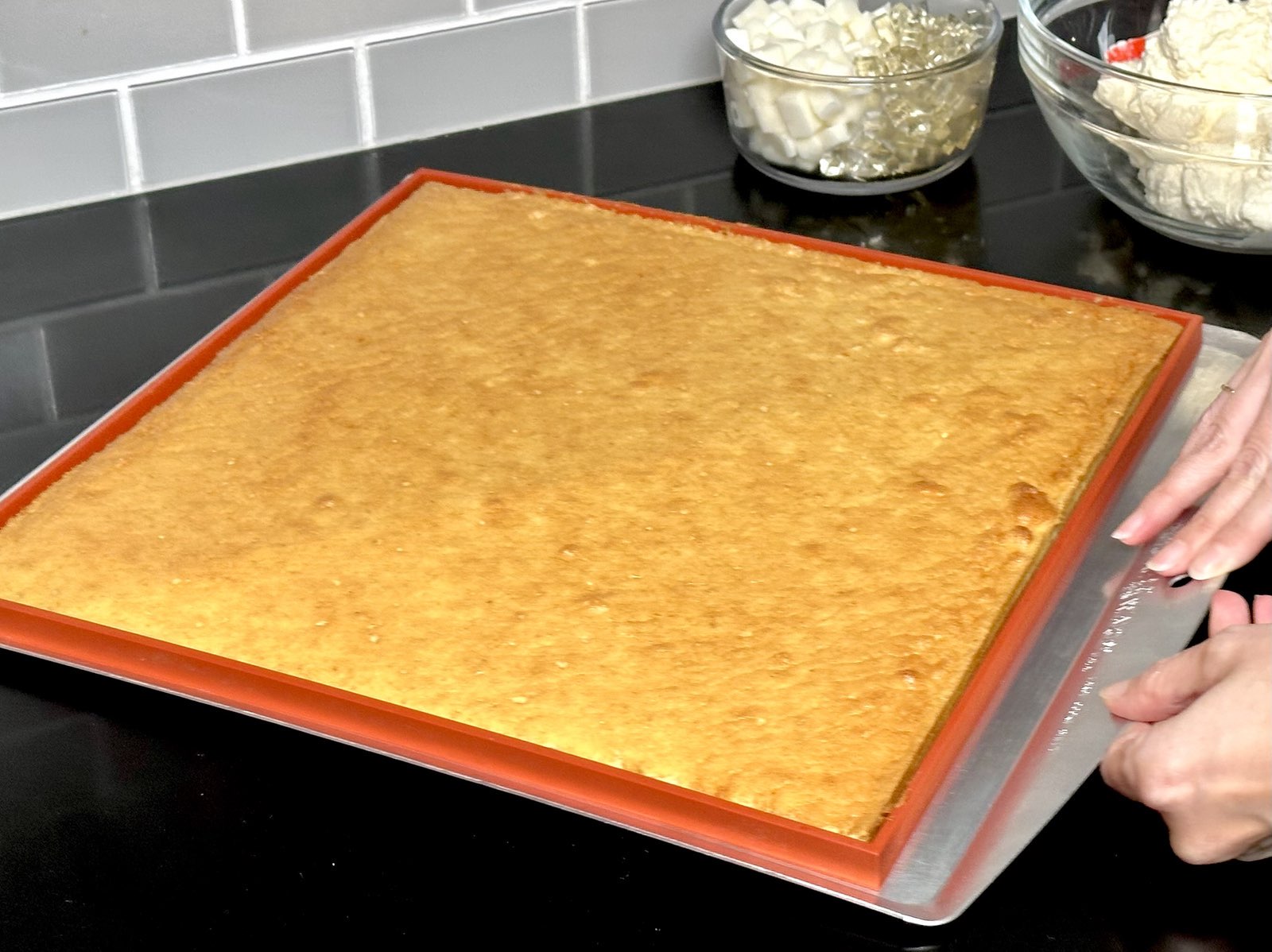 Carnivore Swiss Roll – Carnivore Collections